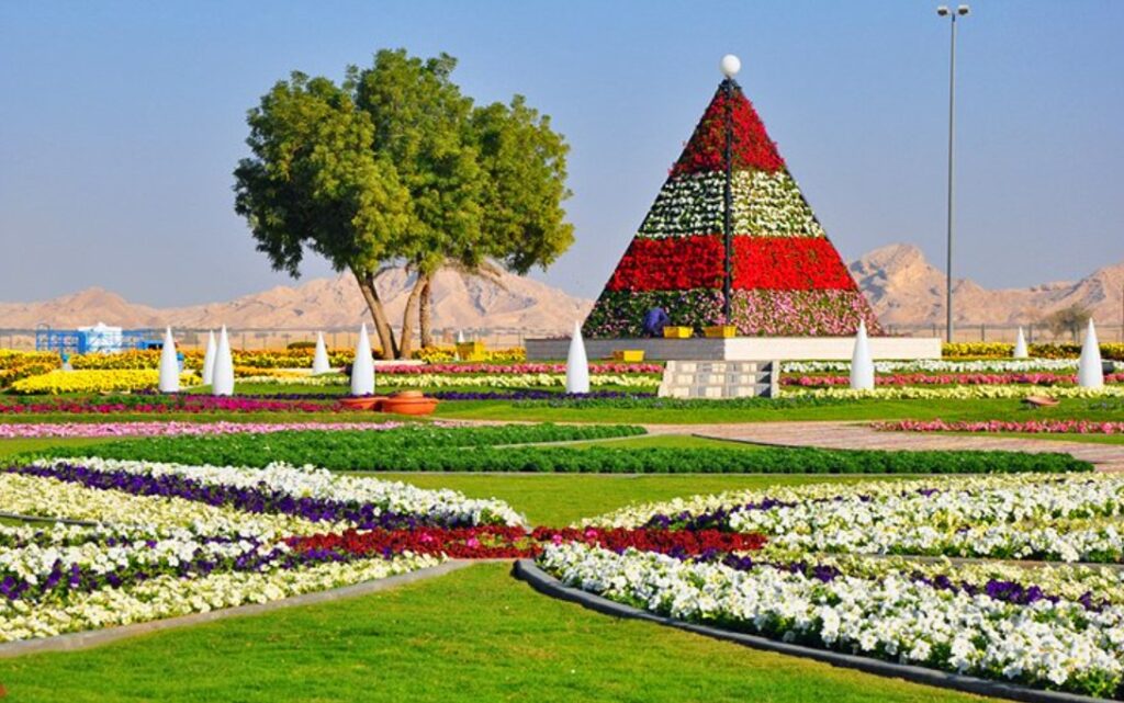 Al Ain City Tour - Explore Al Ain with Sahara Adventure